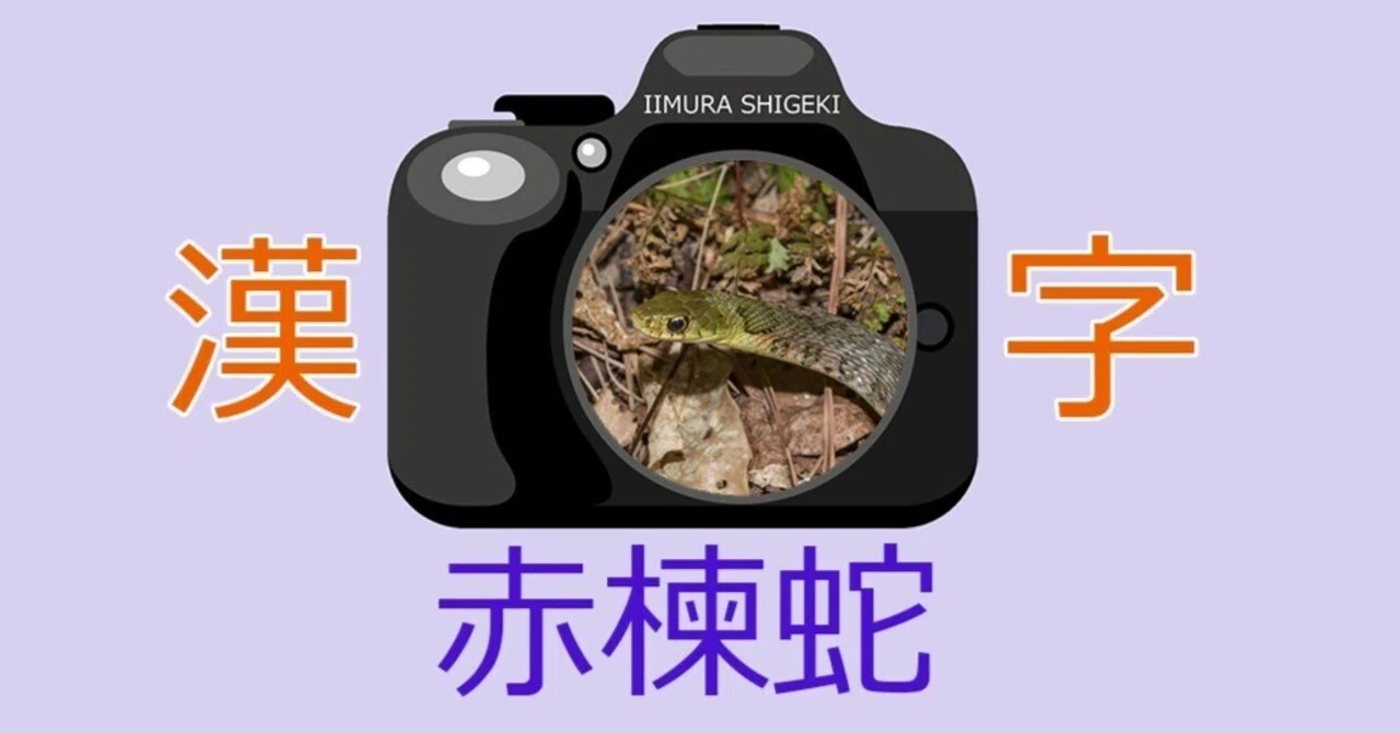 Nature Photographer/Shigeki Iimura: Writing Animals and Plants in ...