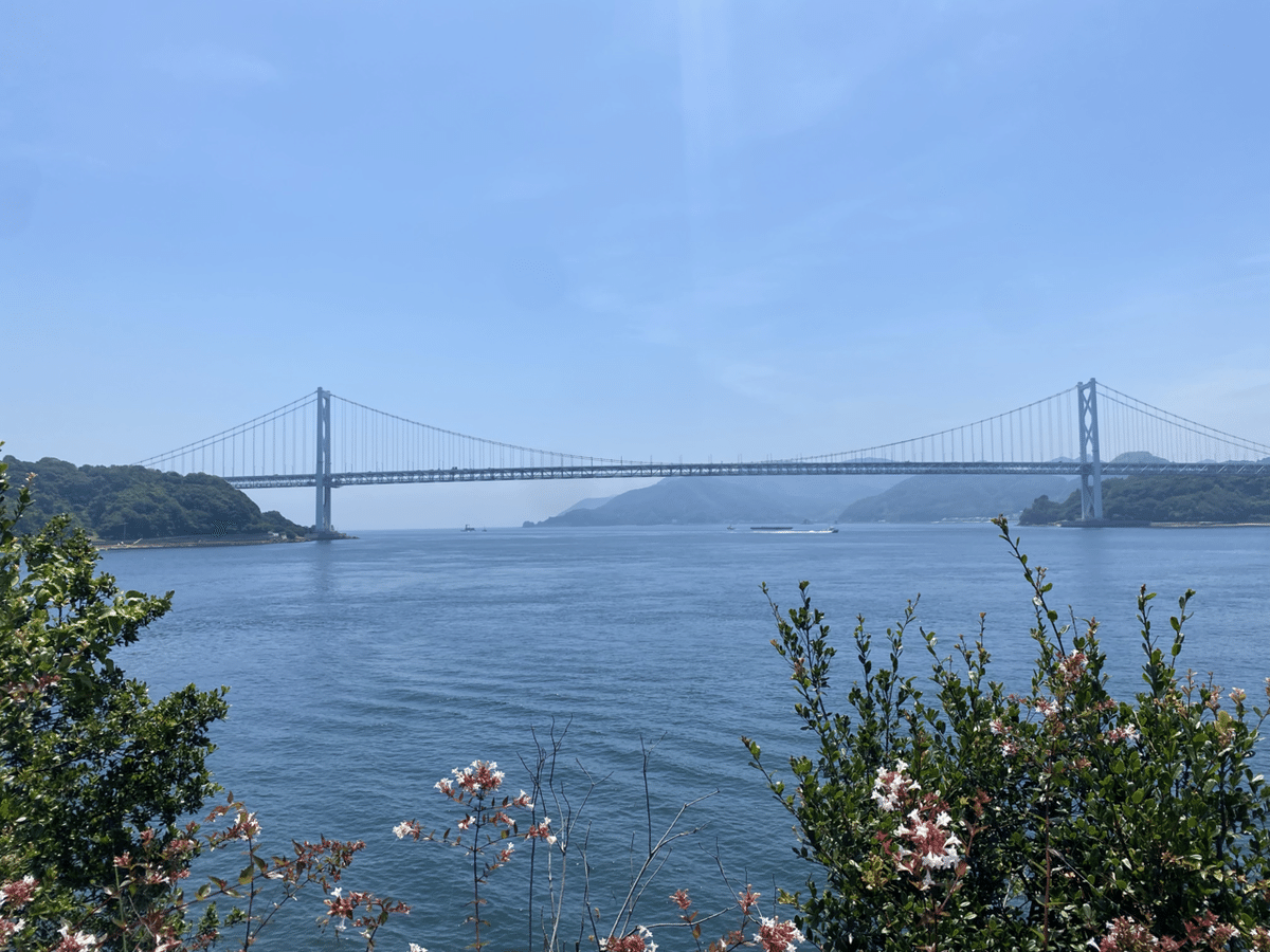 ロードバイク未経験から、佐渡130km完走した話 ｜ 前編・本番までの道のり｜倫愛 -Noa-