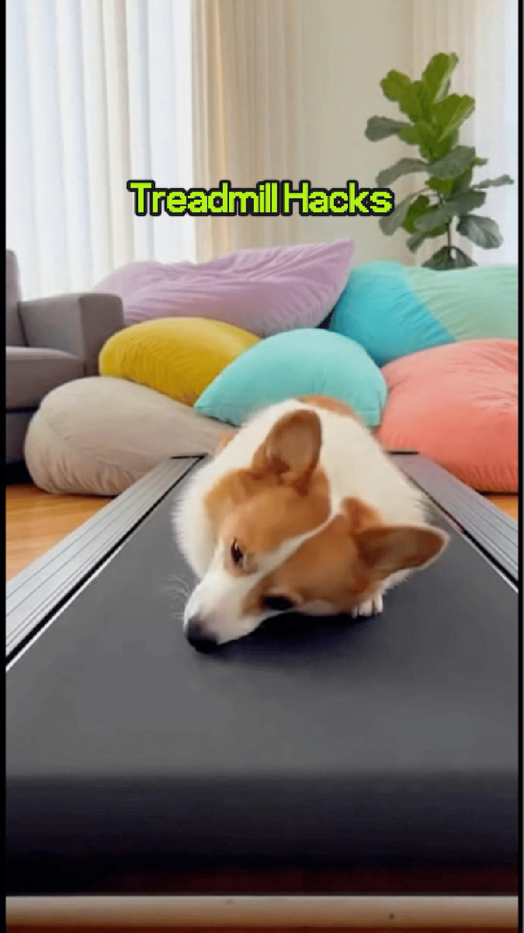 繰り返される日常の中で自分だけの幸せを見つける方法Finding joy in the repetitive cycle of daily ...