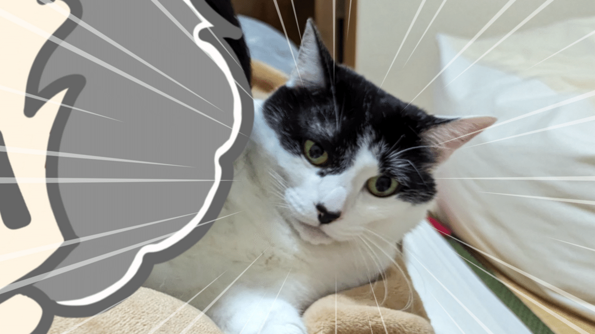 0113＊この世は〇〇中毒だらけ｜mayusaku｜のず夫婦・福岡暮らしの日常