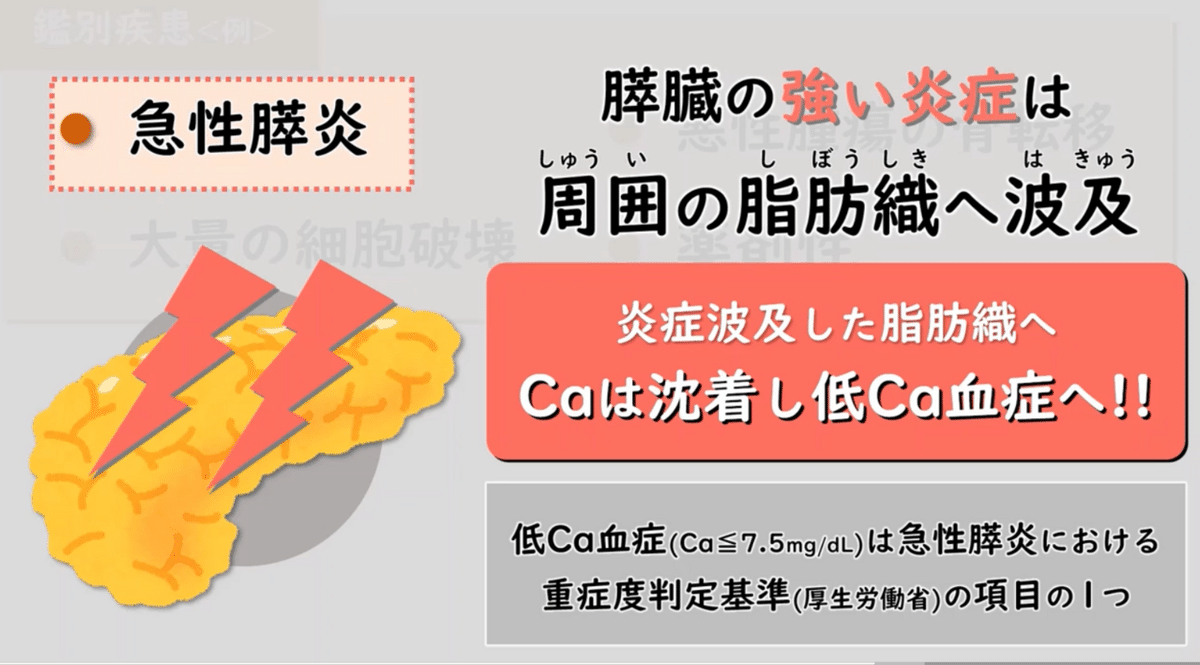 急性膵炎で低カルシウムになる理由＝“脂肪壊死にCaが取られる”｜NP院生まなび帖｜ICUナース26年の挑戦