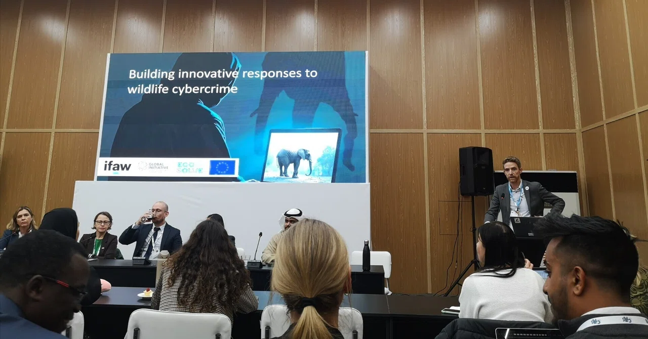【CITES CoP20】野生生物のオンライン違法取引対策 EU,IFAW,インターポール,UAE｜認定NPO法人 野生生物保全論研究会（JWCS）
