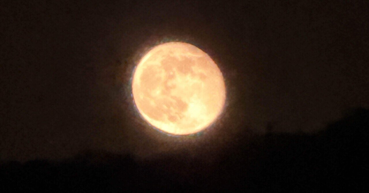 4.寒空に薄着｜ゲンコ