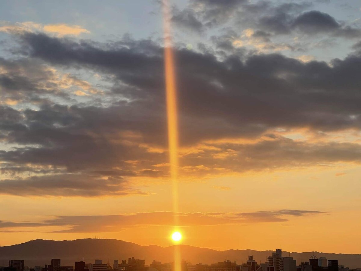 2026/1/13 ガン寛解後の日常生活｜みかもね