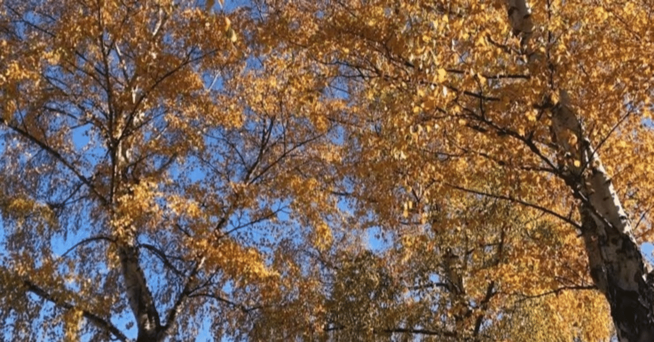 ~ introduction ~｜原点にして頂点