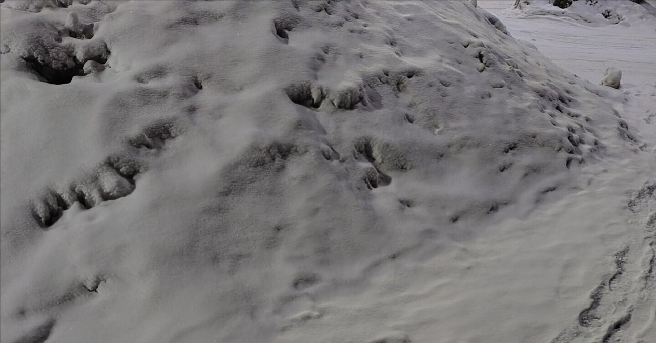 2026/01/13 ホワイトアウト☃｜橘 狐 茄子花（たちばな🦊ナスカ）