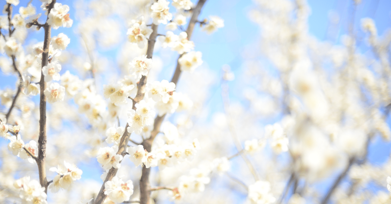 4月からのレッスン(Ver.3)｜dolce_piano