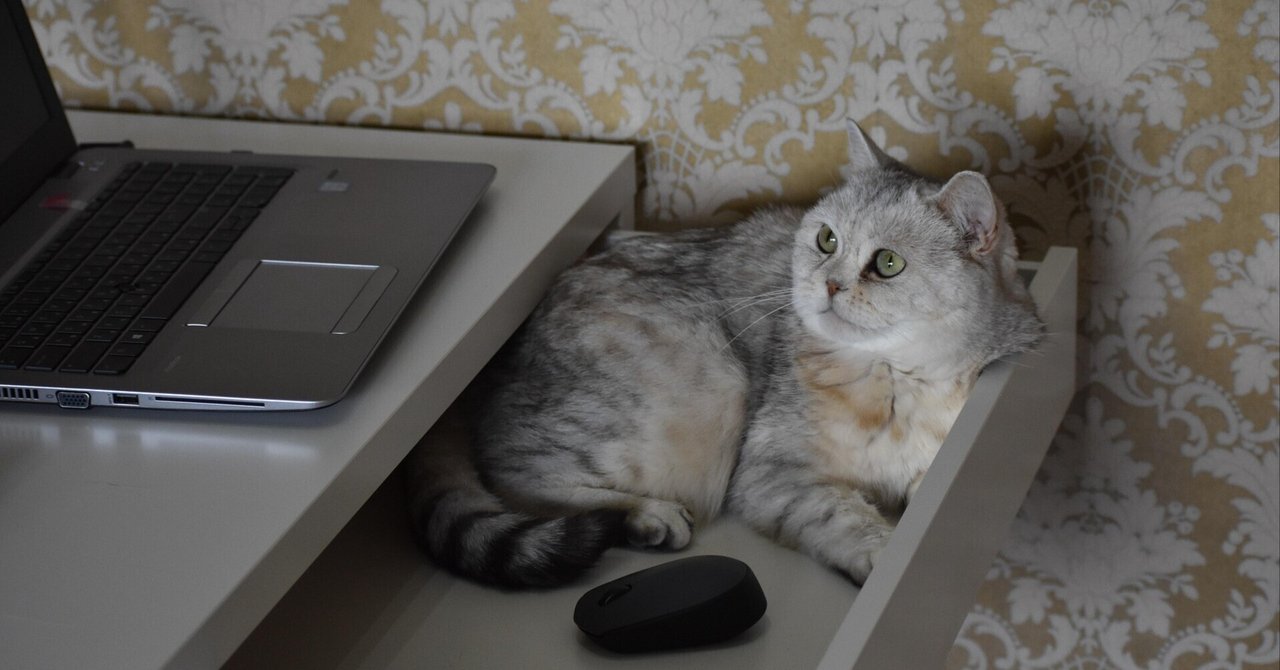 X（Grok）の年末年始の騒動まとめ｜翼狐レナード