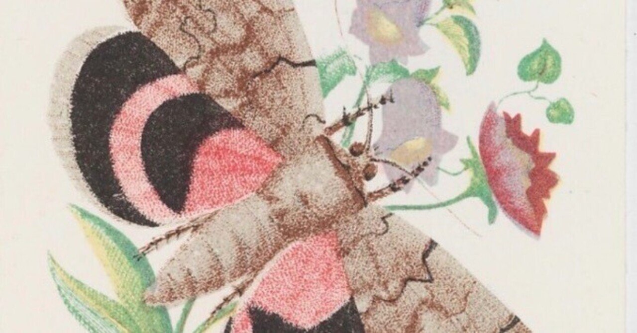 Day 2,378: cataclysmic, underling｜tafst10