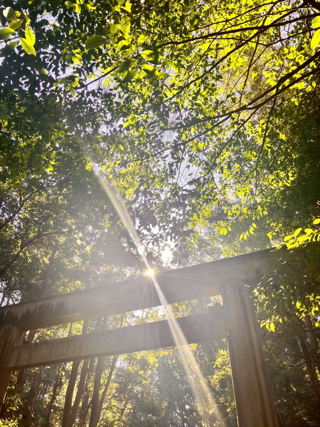 伊勢で、整えるということ｜ROOT代表｜暮らしと心のデザインパートナー