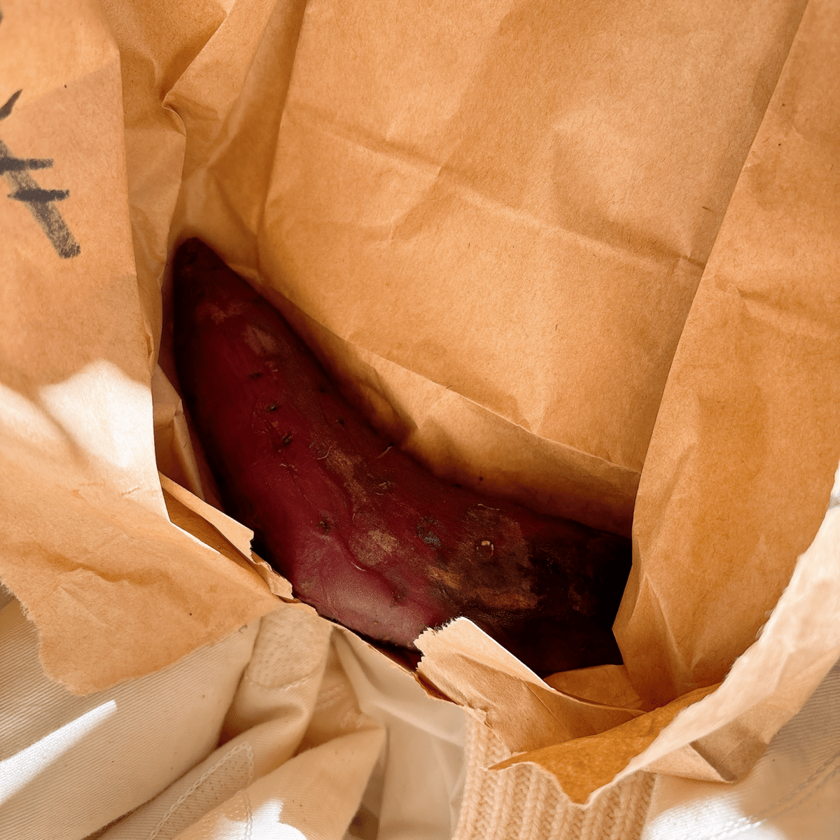 2026.1.14.WED｜RYOKO HATTORI