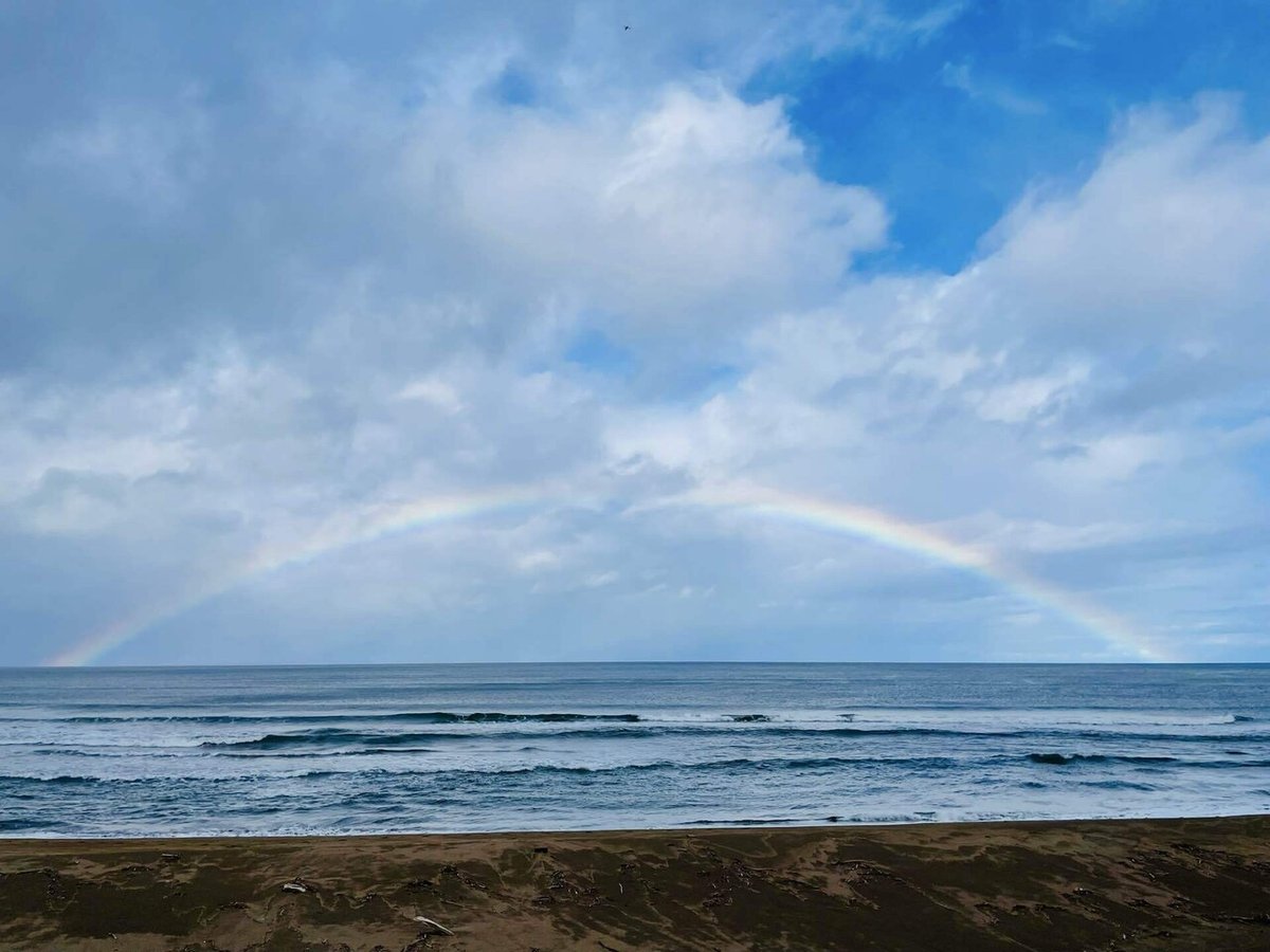 黄色い戦士の日〜虹の戦士とは｜tsunagist etsuko