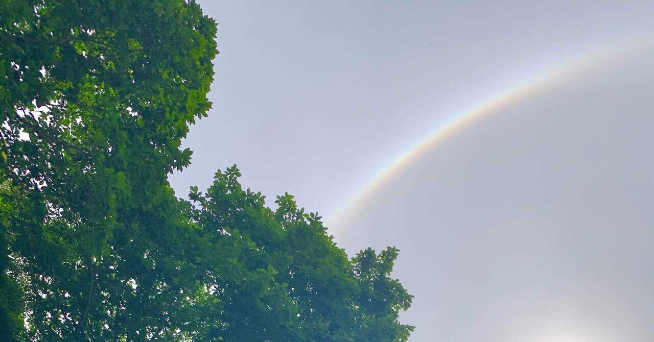 黄色い戦士の日〜虹の戦士とは｜tsunagist etsuko