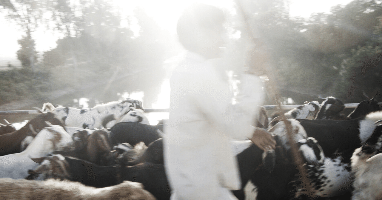 同じ劇団の話を書いたはずなのに──Mr.daydreamer｜本田範隆