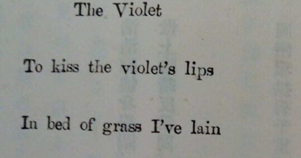 Shiki's violet haiku｜ars