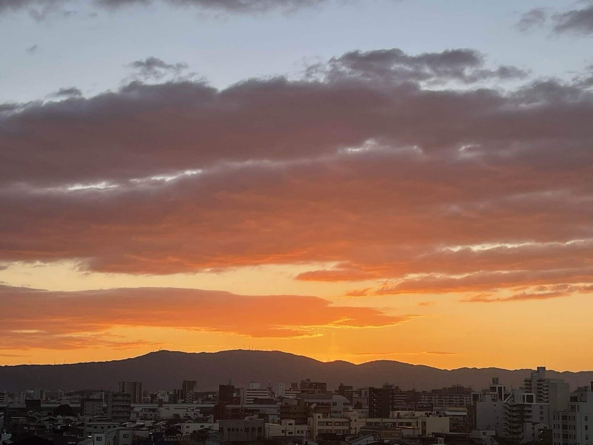 2026/1/14 がん寛解後日常生活と食事｜みかもね