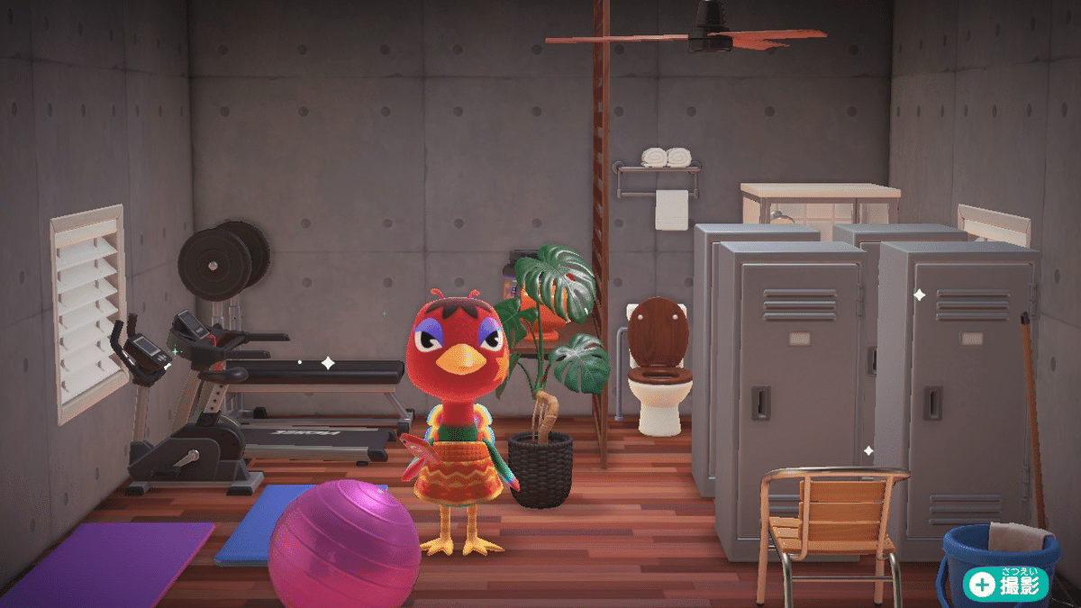 あつ森｜コウメ