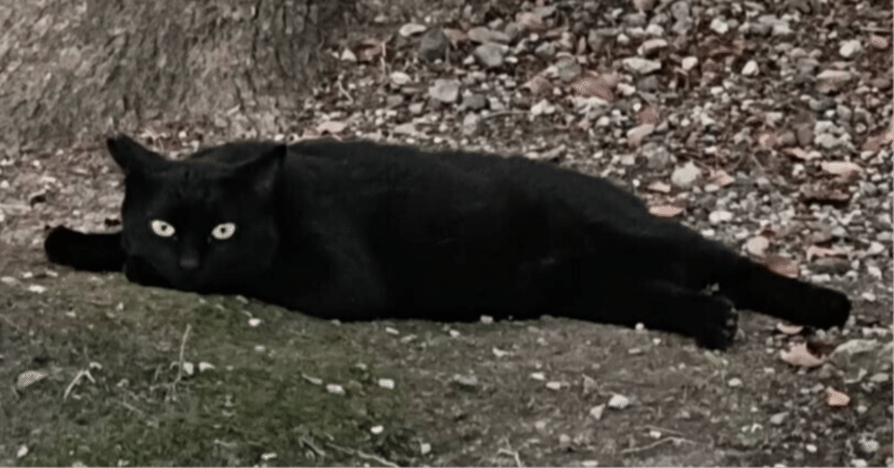 無理しない集客は「設計」で決まる｜haruna｜1人で頑張りすぎない働き方を整える集客プランナー