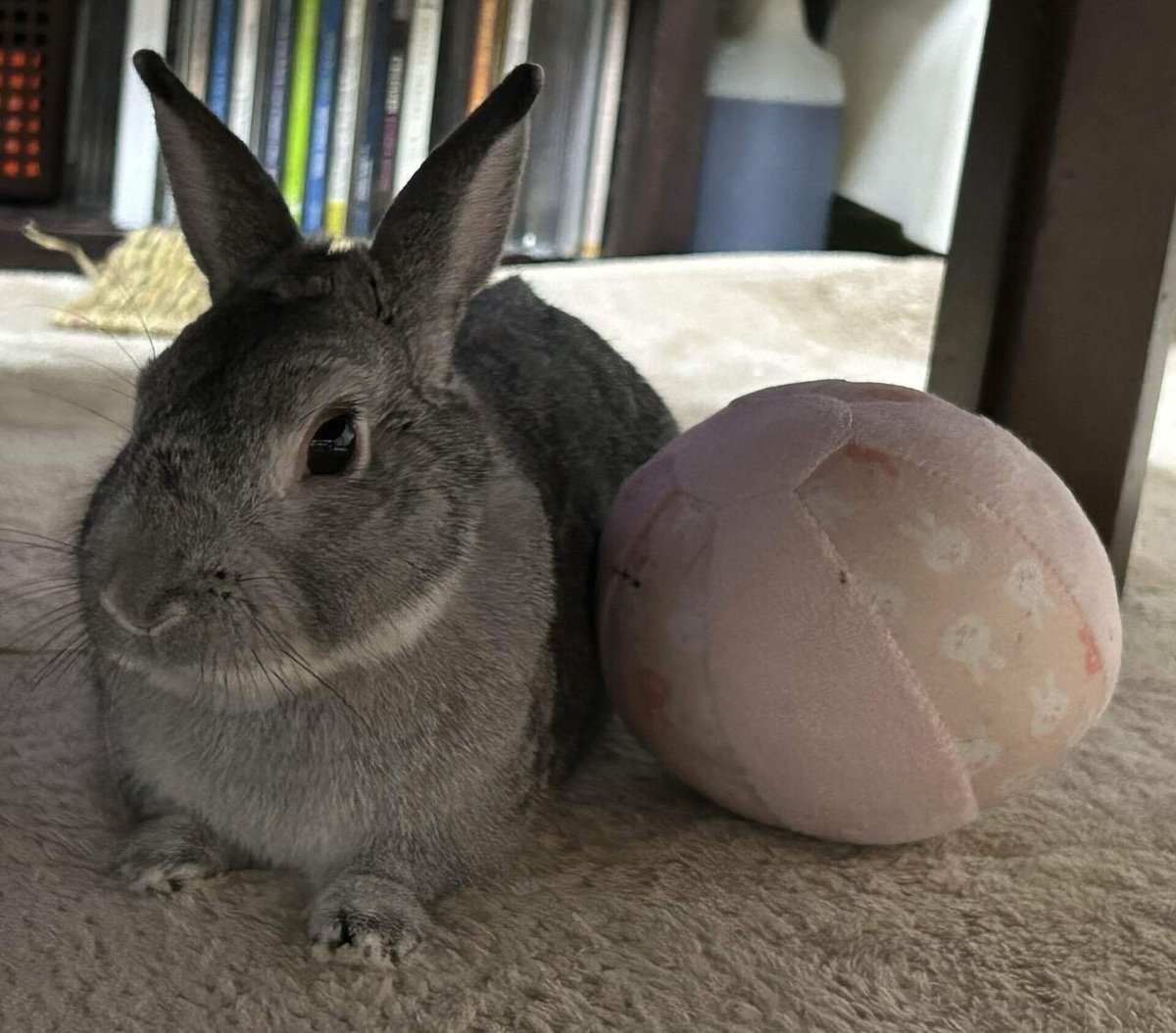 新年初皇居ランからのビール🍻｜Tomozo
