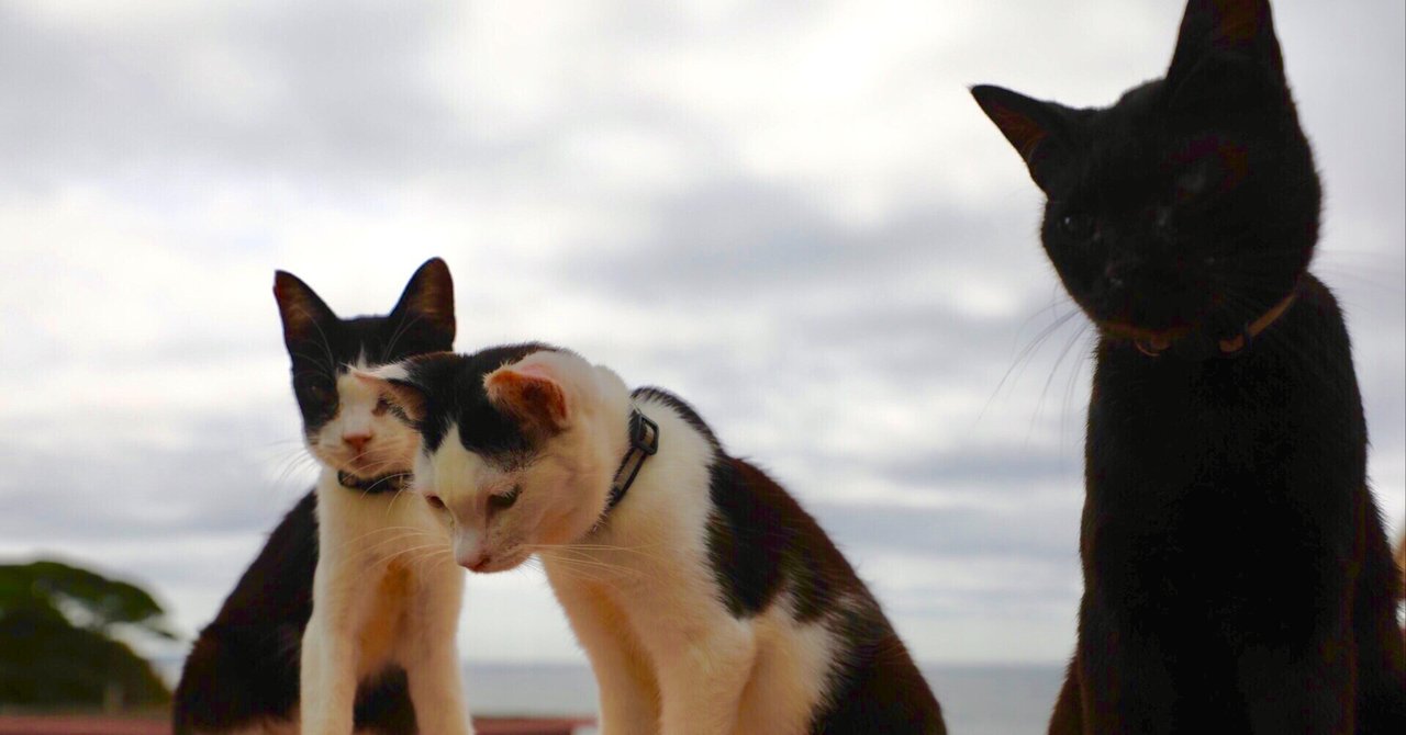 吃音症についてまとめてみた。吃音が笑われない空間をデザインするには。｜koki ueno