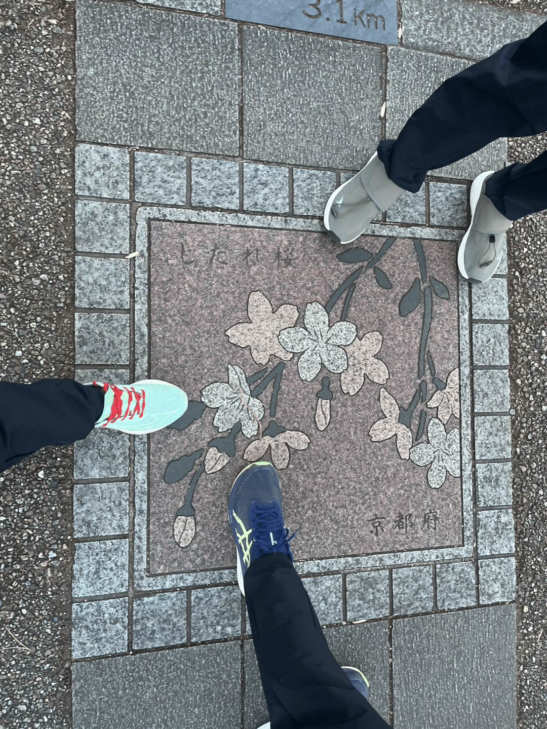 2025-2026 東海シクロクロス 第5戦 愛知牧場 Day1｜Yusuke Honda