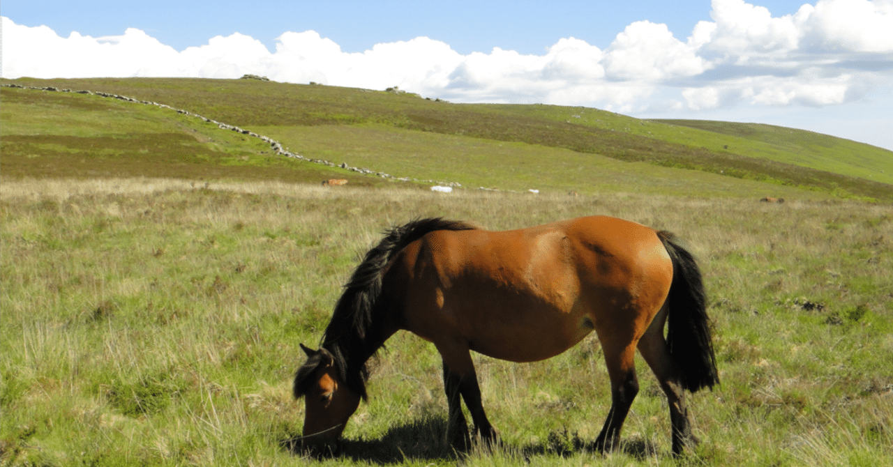 Xを消してみた〜｜Kalin