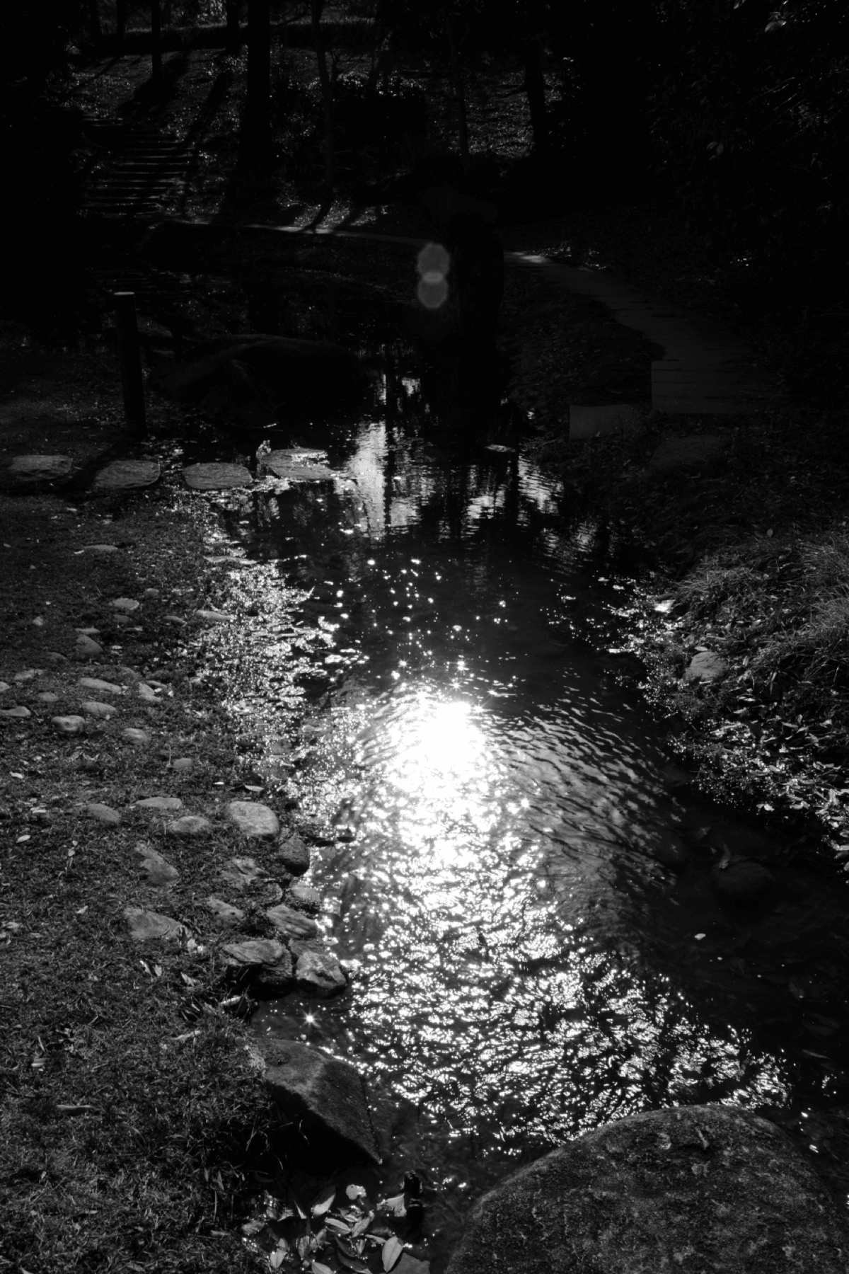 f16（26.01.15）｜ナックなかじ