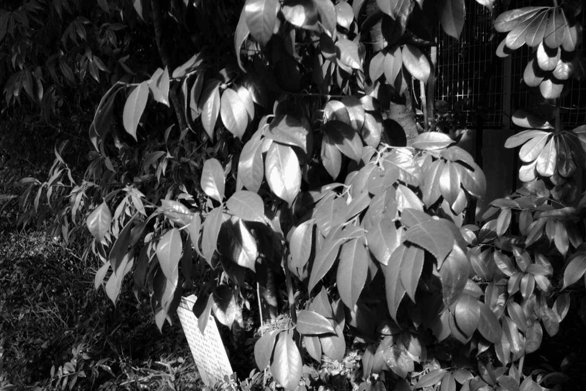 f16（26.01.15）｜ナックなかじ