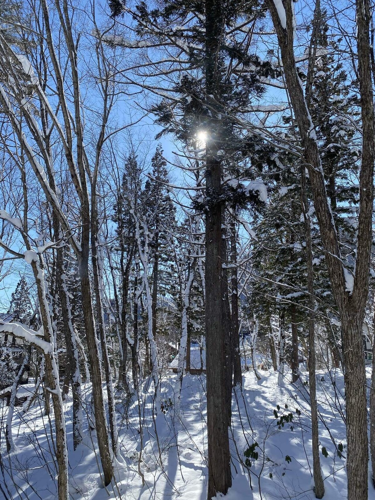 Nabe Sun、実はまだ何者でもない。便利な宿じゃなくて、記憶に残る場所にしたい。｜渡辺翔太