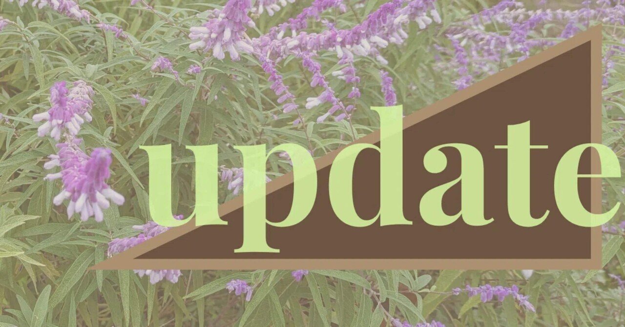 2026年は過去の苦手意識を手放そう！｜てんてん