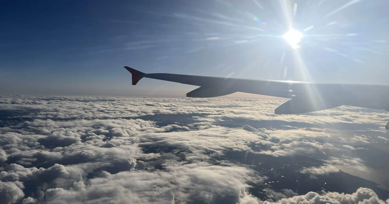 飛行機の座席で自分の肘掛けが占領されていた｜sazm