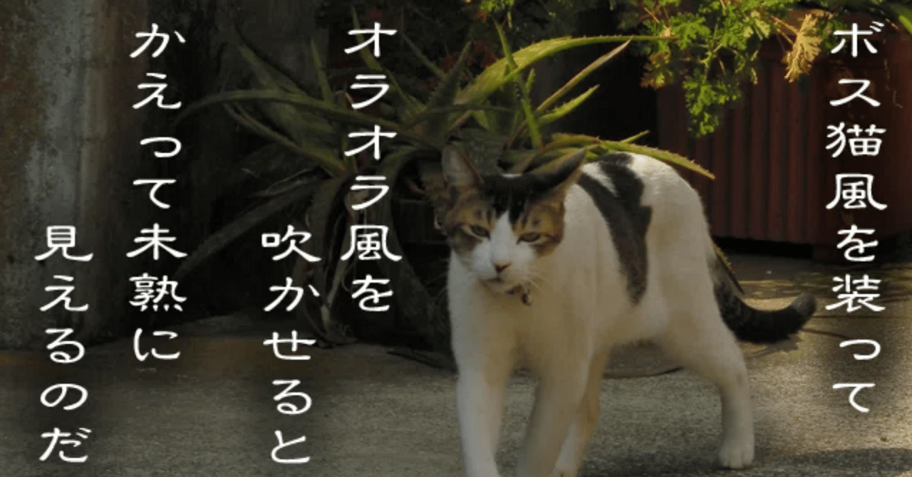 「正論を言っているのに嫌われる」コンサル1年目の私へ｜Kathy