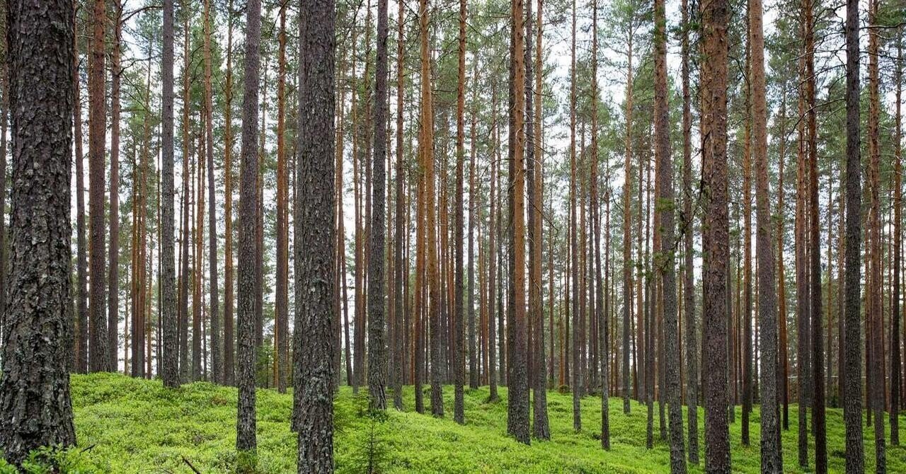 【心理学】自己啓発書を読み漁った私が心理学的に試した効果的な活用法の真実｜関係構築