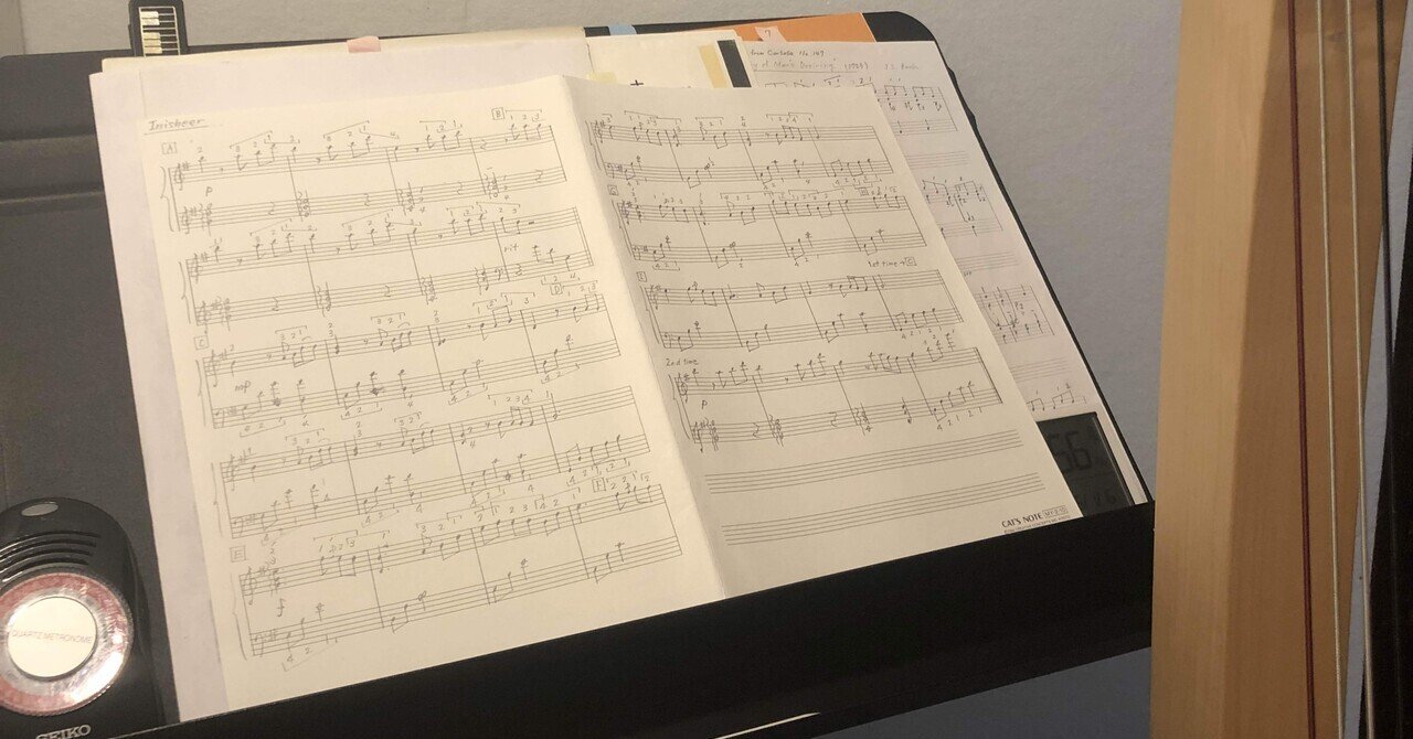 「苦手」をモチベーションに変える。練習ノートを活用した成功体験の積み重ねと成長のヒント｜Mithril / Irish Harp