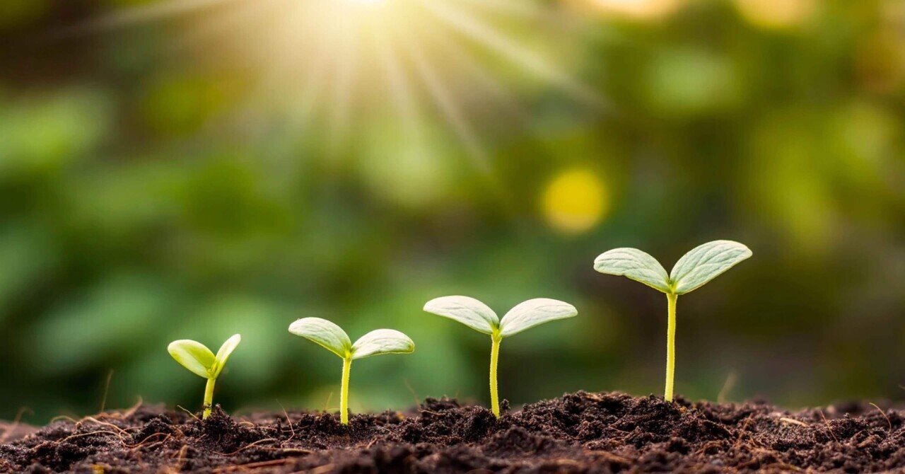 【東洋医学シリーズ】精について｜鍼灸師ゆーと・“あなたに合う”健康の話