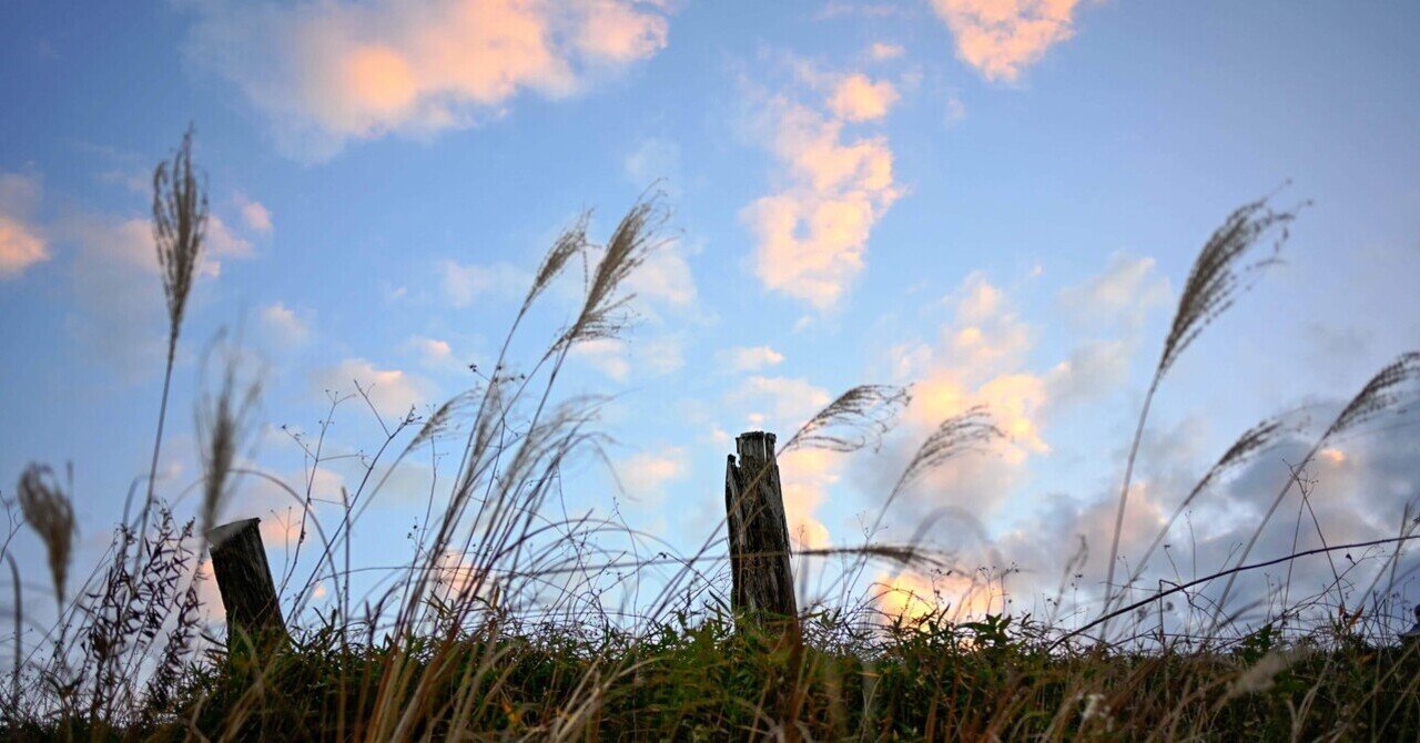 人と関わる解体新書パート1｜ADHDな僕の普通の日常