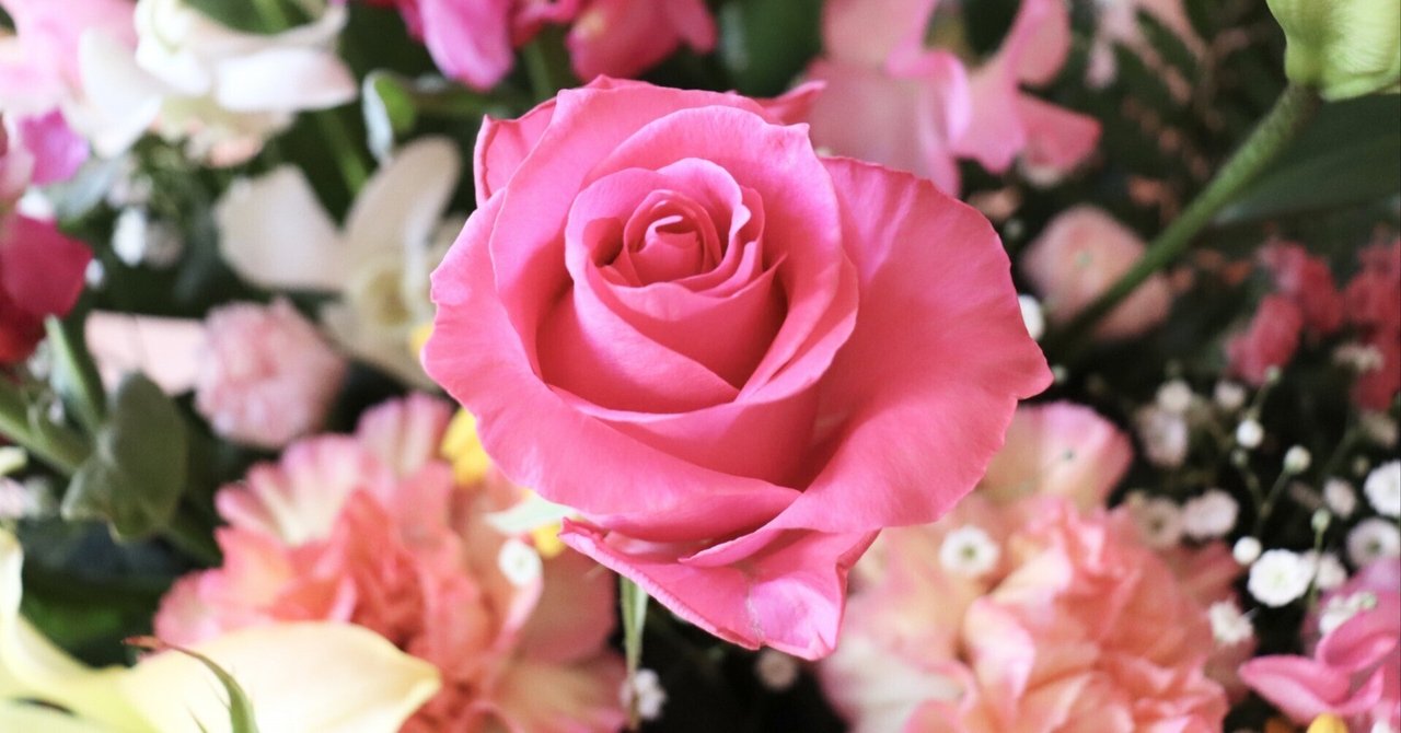 離れてもまためぐり逢える。同じ心を持っているから。｜Sunao🪷自分爆開花の魔法 ︎*。