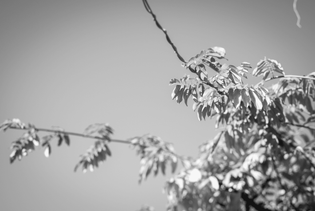 階段を。｜Shinichi Sendagi