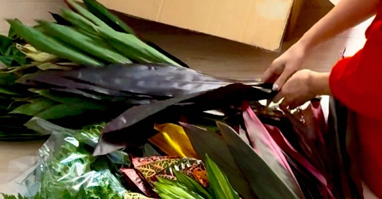 タヒチアンダンサー必見｜【完結編】タヒチアン衣装の植物図鑑｜PŌPOU TAHITI ｜タヒチアンダンス生花衣装教室｜フレッシュコスチュームWS