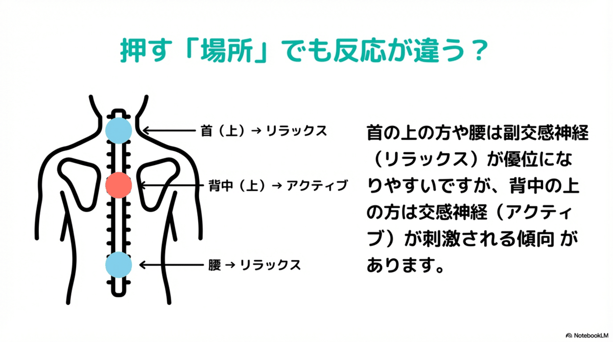 徒手療法による自律神経の変化｜AT+