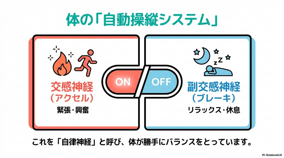 徒手療法による自律神経の変化｜AT+