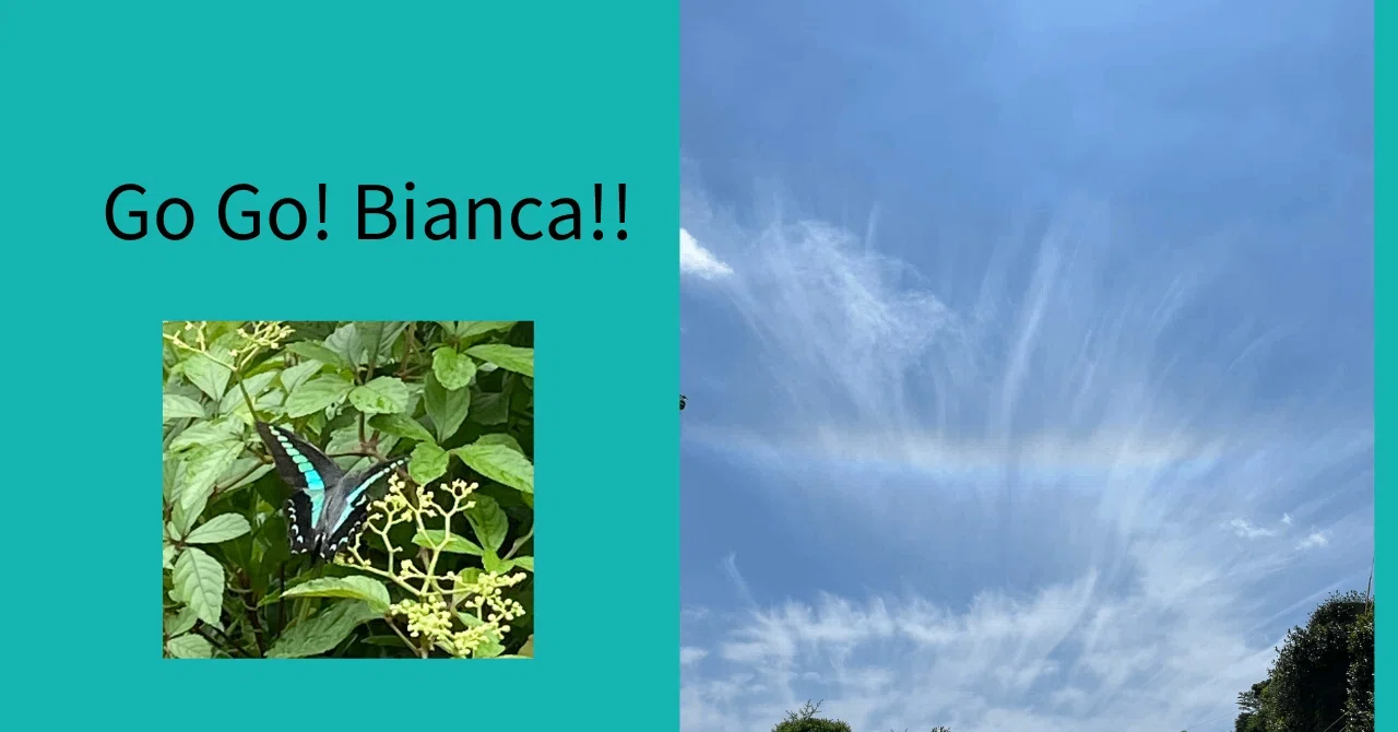 5 震災31年目にして思うこと｜Bianca