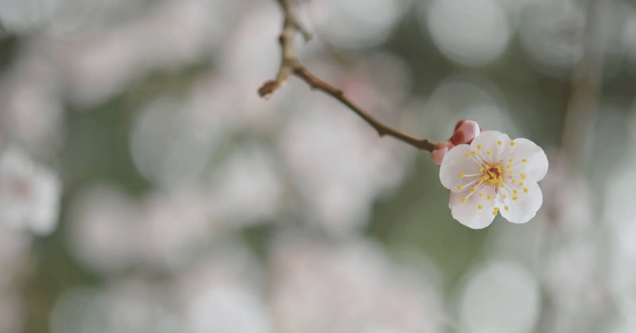 正しいことは正しいでしかないんだよ。｜汐崎