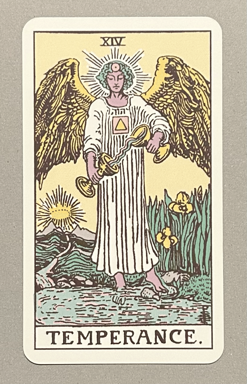 おみくじタロット｜1月19日(月)｜Millia (ミリア)