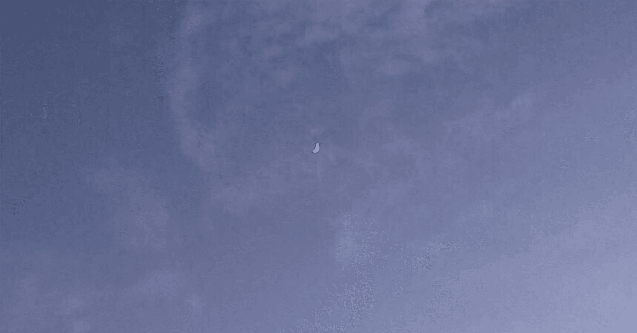 何かしようとしてないですか。｜あき/ものと自分と距離感と