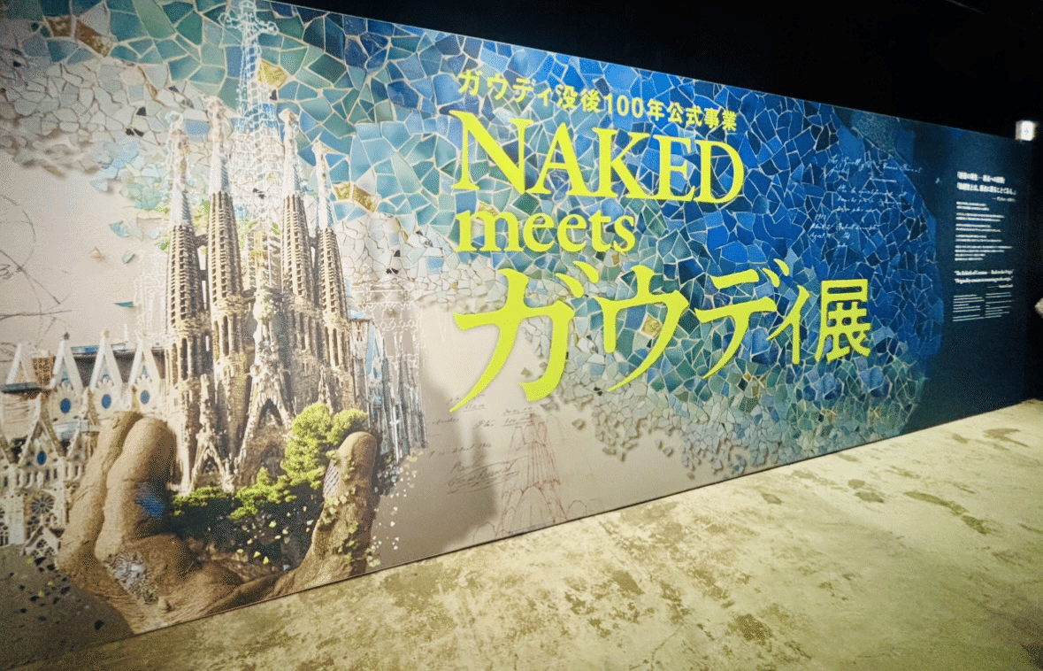 分からないを抱きしめたい。根拠なしに待つことができるか。｜Wing 早大生アーティスト