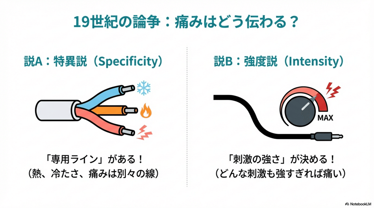 痛みは脳で作られる｜AT+