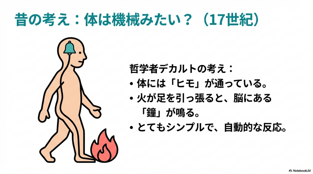 痛みは脳で作られる｜AT+