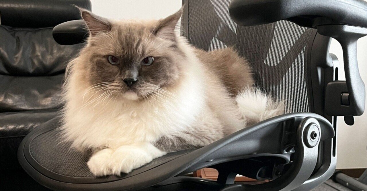 なぜFIRE生活に「禅」が必要なのか？｜める｜Cat FIRE