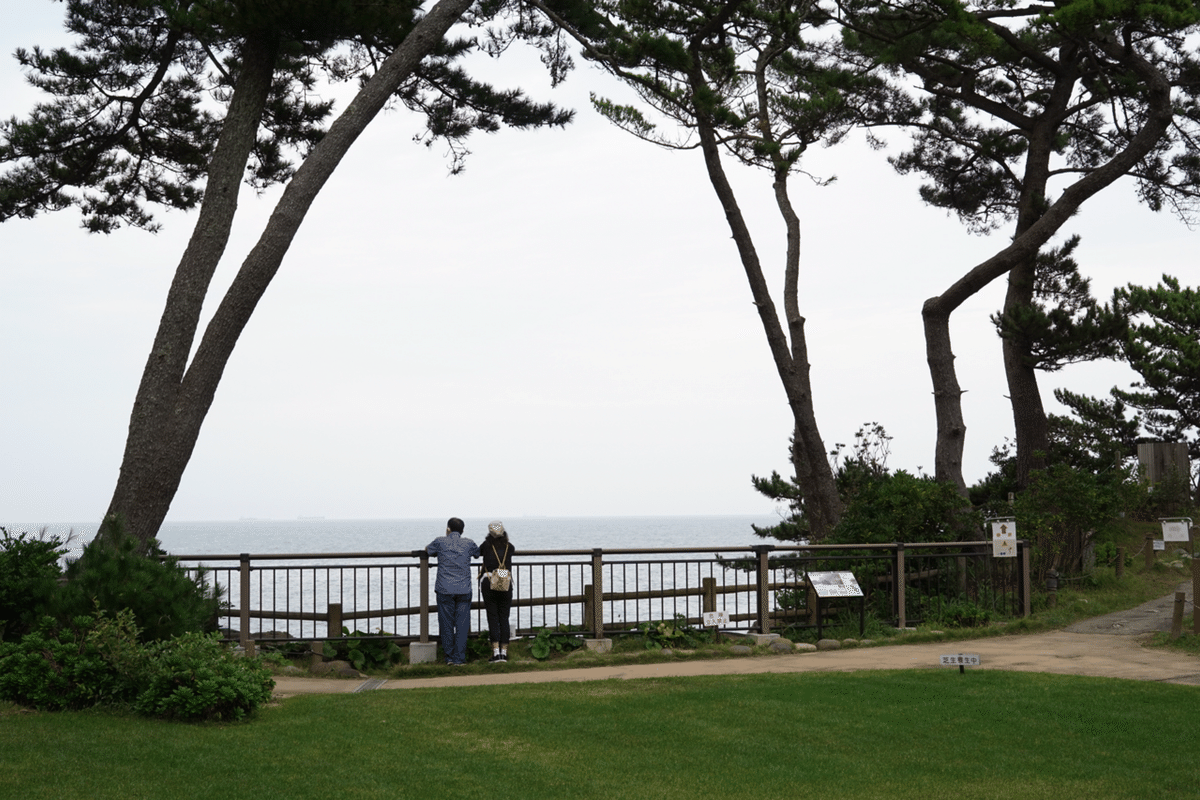 まるで人生か。｜Shinichi Sendagi